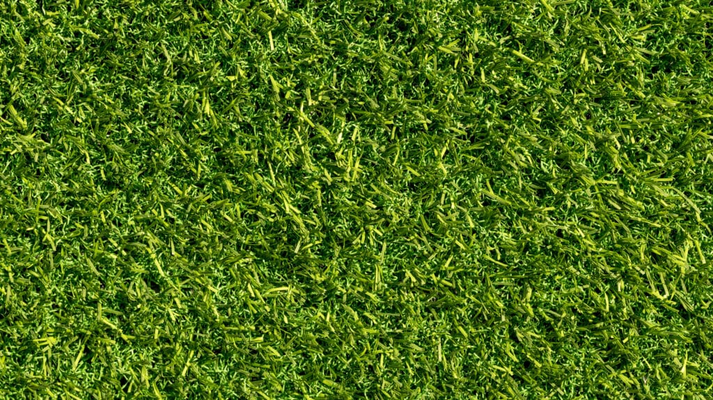 Synthetic Grass Cost in Florida: What You Really Pay (and Save) Long ...